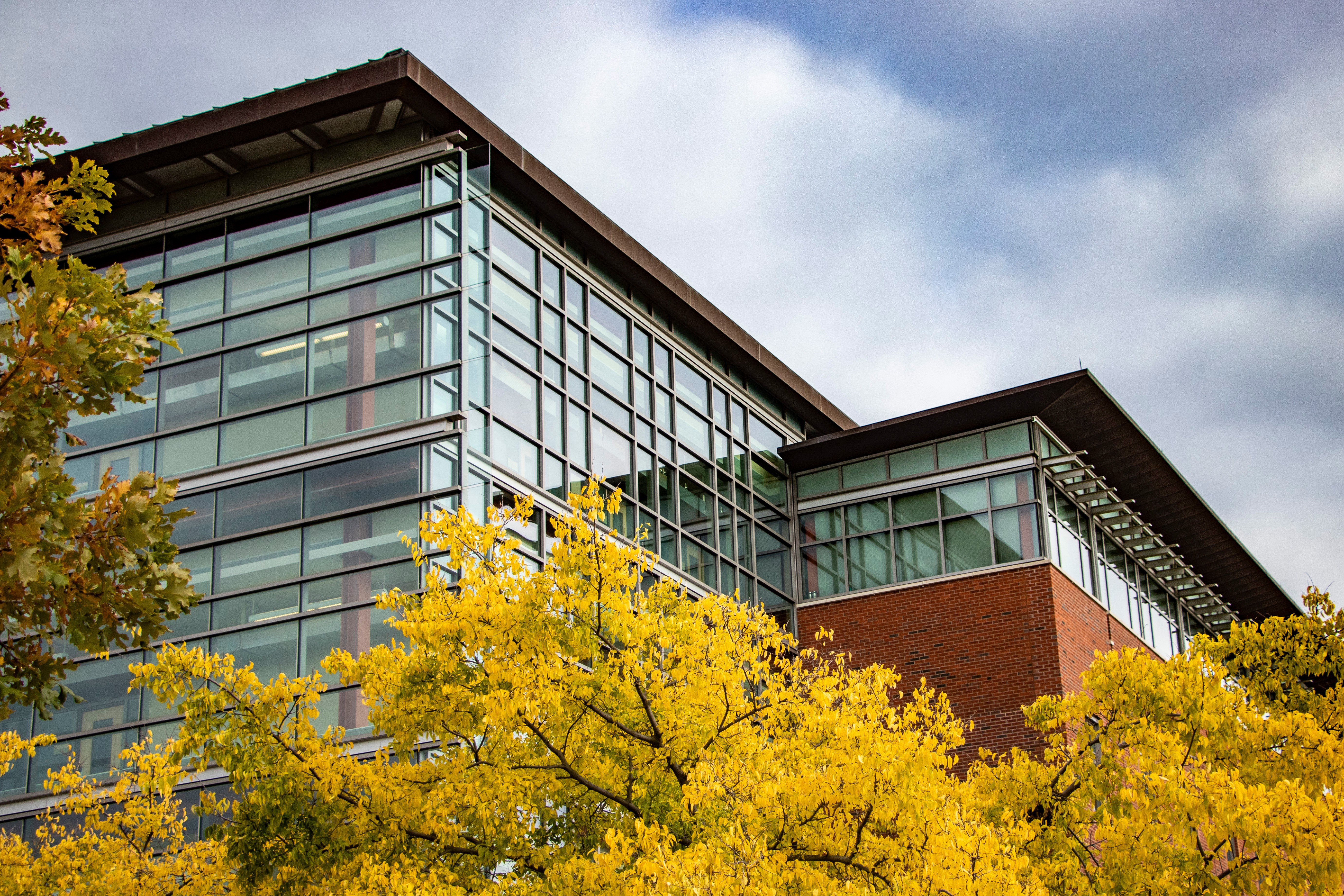 USDA Funds 'Agrivoltaics' Project Led by iSEE, Education at Illinois ...