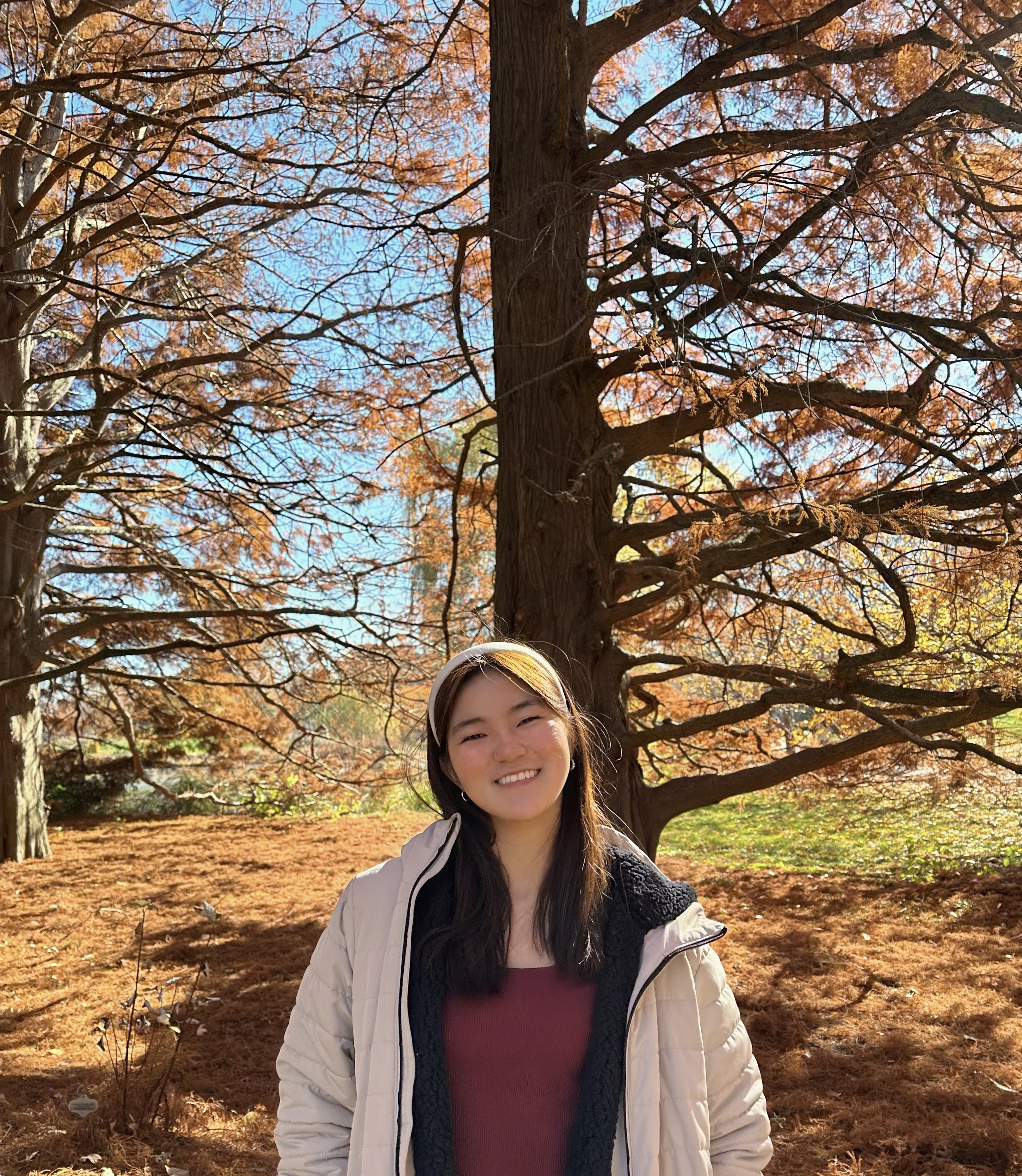 Louisa Zhang | Siebel School of Computing and Data Science | Illinois